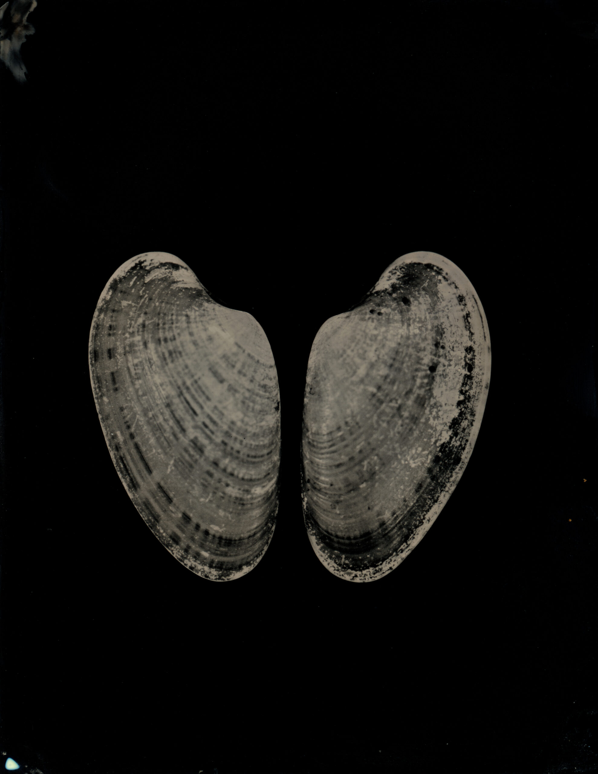 St. Augustine Tintype